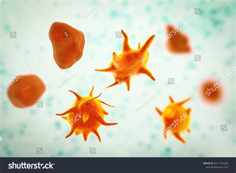 Activated Non Activated Platelets Thrombocytes 3d Illustration Stock