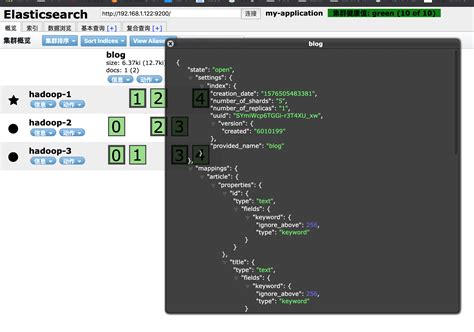 Elasticsearch实战：使用java连接elasticsearch集群，并进行相关操作java连接es 645版本的集群 Csdn博客