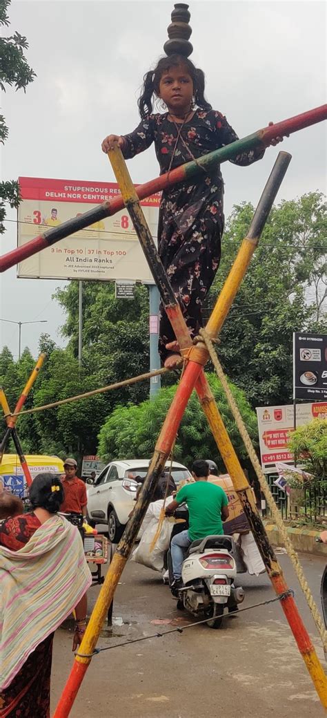 Title The Divergent Paths Of Life Navigating The Disparity Between