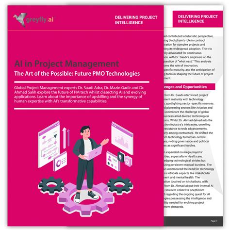 The Art Of The Possible Future Of Pmo Technologies Greyfly