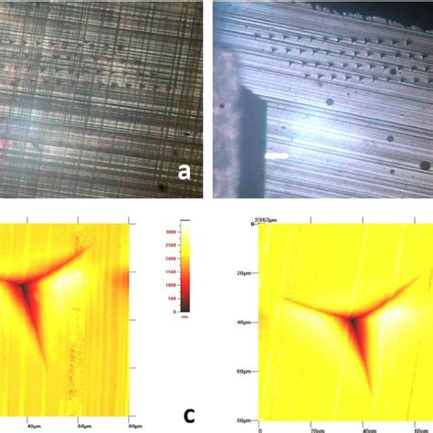 optical micrographs obtained after 48 indentations 4 lines of 12
