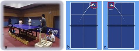 Ankle Proprioception In Table Tennis Players Expertise And Sport Specific Dual Task Effects