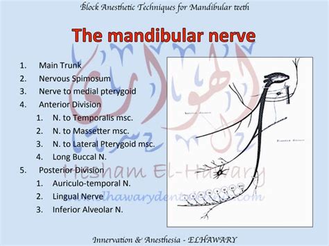 Mandibular Teeth Anesthetic Block Techniques Pdf