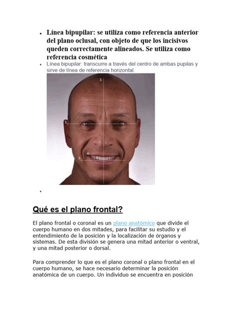 Referencias De Planos En Odontología Pdf Estudios De Idiomas
