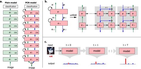 Brain Aligned Ai Laboratory Of Integrated Brain Imaging