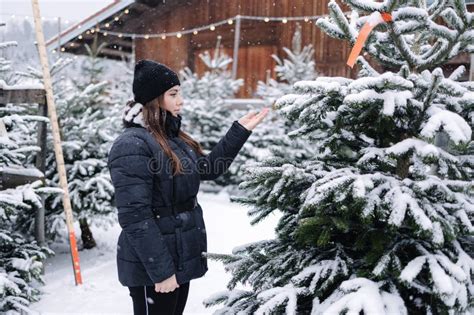 Beautiful Woman Hold Little Snowy Christmas Tree Female Choose Fir Tree For Holidays Stock