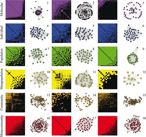 Adjacency Matrices And Network Representation Of 18 Empirical
