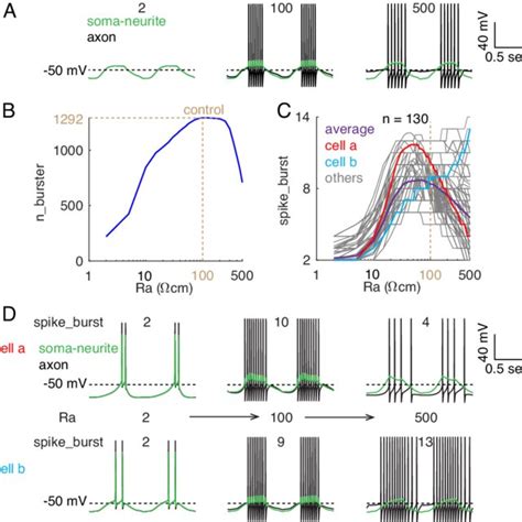 Effect Of Axonal Coupling With Other Compartments A Example Spike Download Scientific