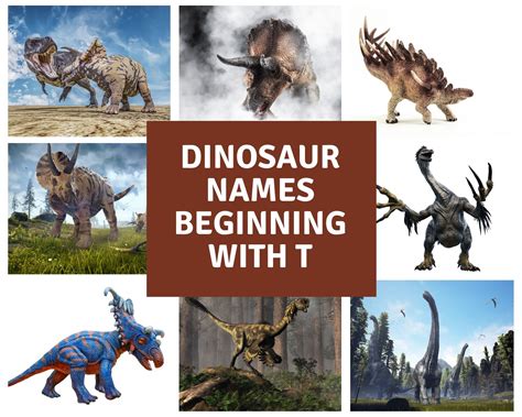 What Were The Largest Flying Dinosaurs A To Z Dinosaurs