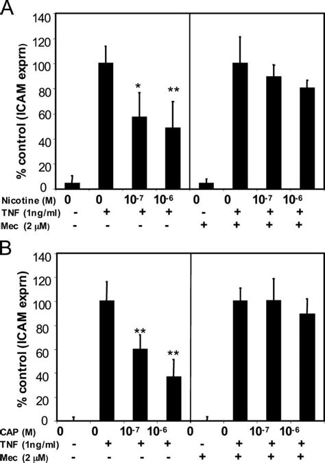 Nicotine And Cap55 Block Tnf Induced Adhesion Molecule Expression In Download Scientific