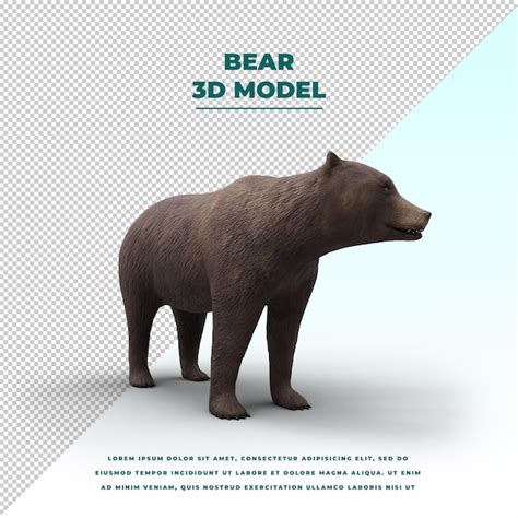 Premium Psd Bear Isolated