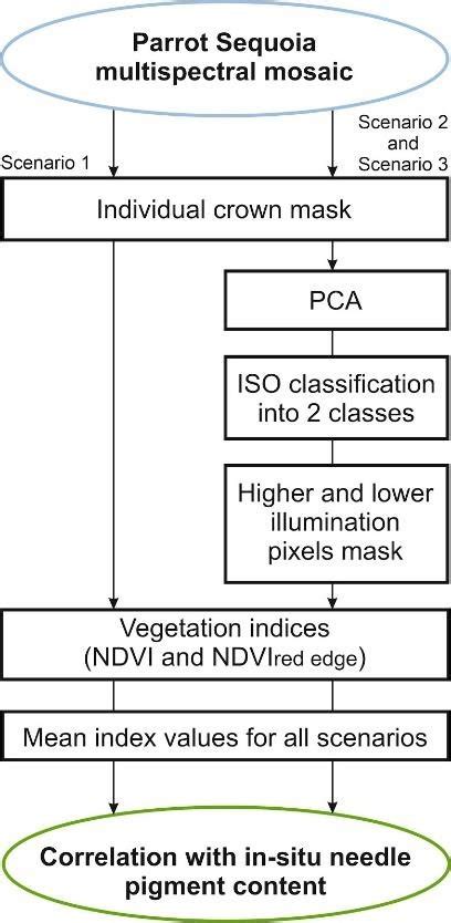 Parrot Sequoia Multispectral Data Processing Workflow Chart Download Scientific Diagram