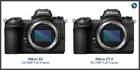 Nikon Z6 Vs Nikon Z7 II Specifications Comparison