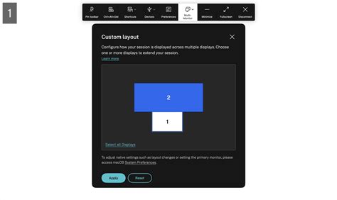 Graphics And Display Citrix Workspace™ App For Mac