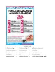 Veal Chop Mine Updated Dec 2020 Docx Veal Chop Mine What Is Occurring
