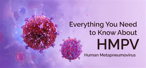 Soarx Jmi On Linkedin Soarxjmi Hmpv Virus Humanmetapneumovirus