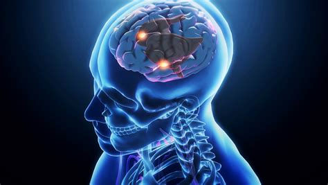 Scientists Uncover ‘mental Time Travel Link To Enhanced Memory Recall