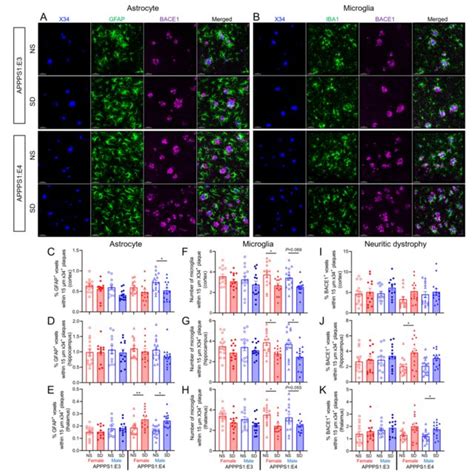 Sleep Deprivation In Appps1 Mice Differently Affects Astrocyte