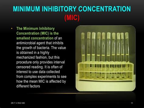 Ppt Minimum Inhibitory Concentration Antibiotic Sensitivity Tes