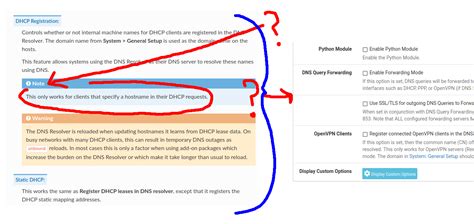 no dhcp registration static dhcp options for registering local