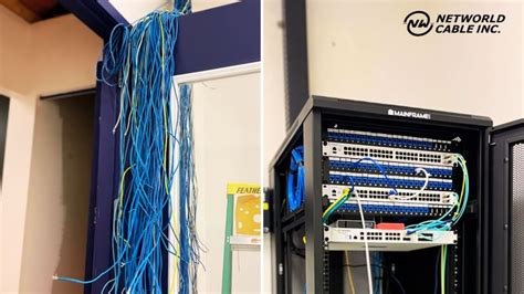 Networld Cable Inc On Linkedin Cablingsolutions Clientsatisfaction Relocationsuccess