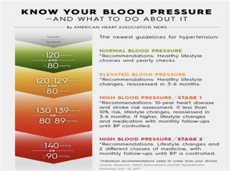 Examination CVS Flashcards Quizlet