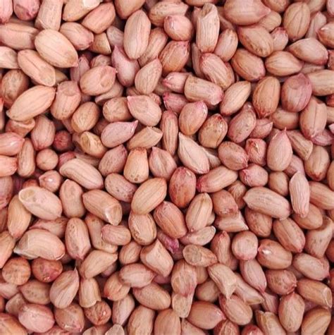 Dried Peanut Kernel 40 Kg At ₹ 100kg In Amreli Id 26407602048