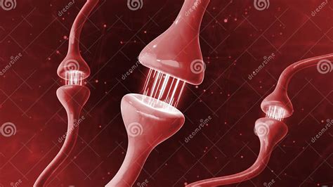 neurotransmission and synapses in medical animation stock image image