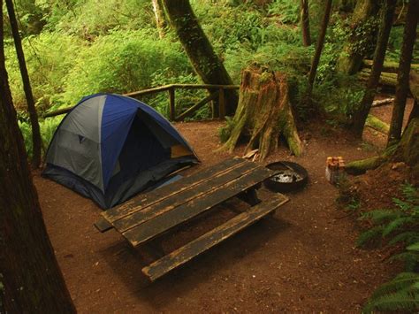 Top 10 Things To Do In Redwood National Park California Travel