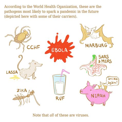 Disease X Drawing The Times