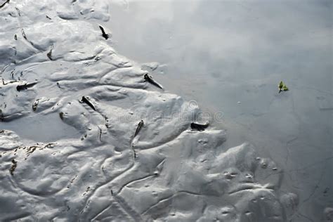 Mangrove Soil On Nature Background Stock Photo Image Of Soil Surface