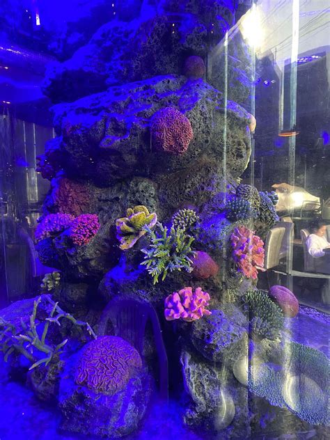 ปะการังเทียม ณ โรงเเรมเซนทารา ศิลป์สยามไฟเบอร์กล๊าส Facebook