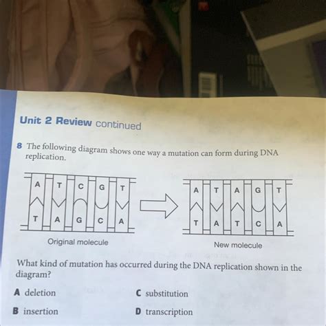 Substitution Mutation Diagram