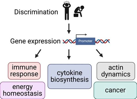Perceived Discrimination Linked To Differences In Gene Expression