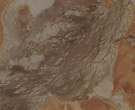 New Tools And Datasets In The Copernicus Data Space Ecosystem Sinergise