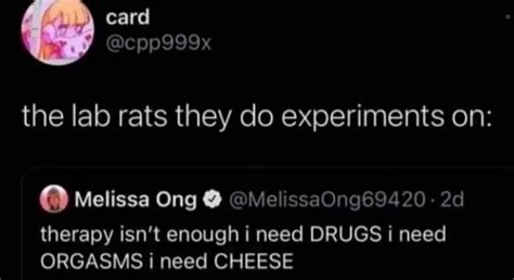 Meme Aggregator 3 0 Album On Imgur