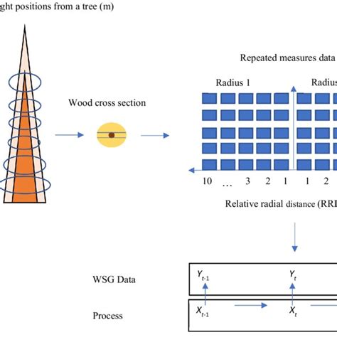 Schematic Diagram Of Sample Preparation And Repeated Measures Data