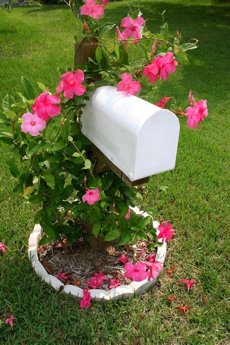 7 Mailbox Landscaping Ideas Youll Want To Copy In 2025 Mailbox