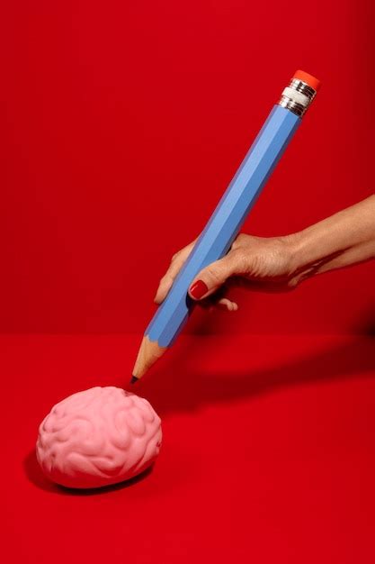 인간의 두뇌가 있는 정물화 무료 사진