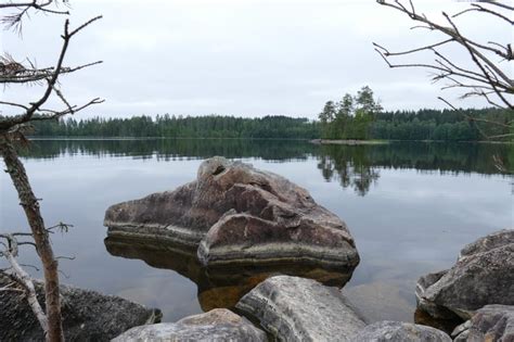 A Swedish Lake Alligator Rock Stone And Flow