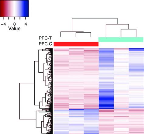 Results Of The Hierarchical Clustering Analysis Note That The Analysis Download Scientific