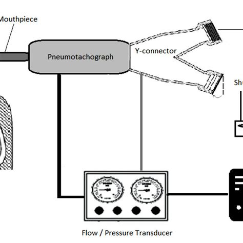 The Actual Recording Of The Subject Flow Time Curve And Mouth Pressure