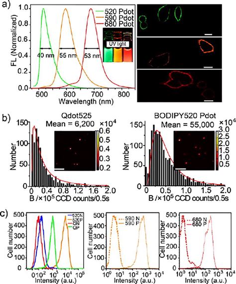 Recent Advances In The Development Of Highly Luminescent Semiconducting