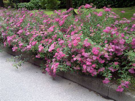 Pretect Agri Consult