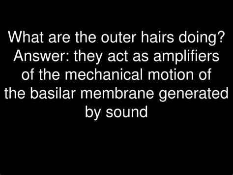 Ppt The Peripheral Auditory System Powerpoint Presentation Free