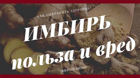 Имбирь польза и вред Как сохранить здоровье Youtube