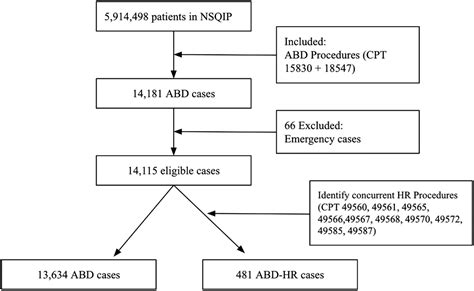 Concurrent Abdominal Body Contouring And Hernia Repair Are Safe Choices An Analysis Of The 2015
