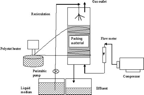 Experimental Setup Of Biotrickling Filter Download Scientific Diagram