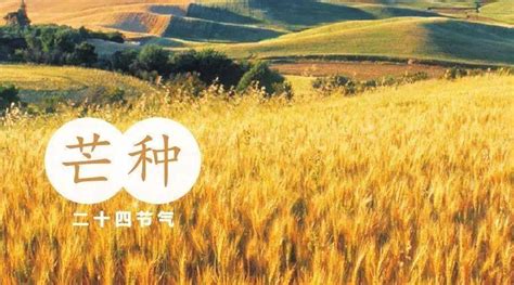 我很喜欢这段话，深入人心生活朋友简静