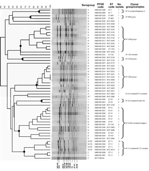 Dendrogram And Pfge Patterns Of Nhei Digested Chromosomal Dna Of